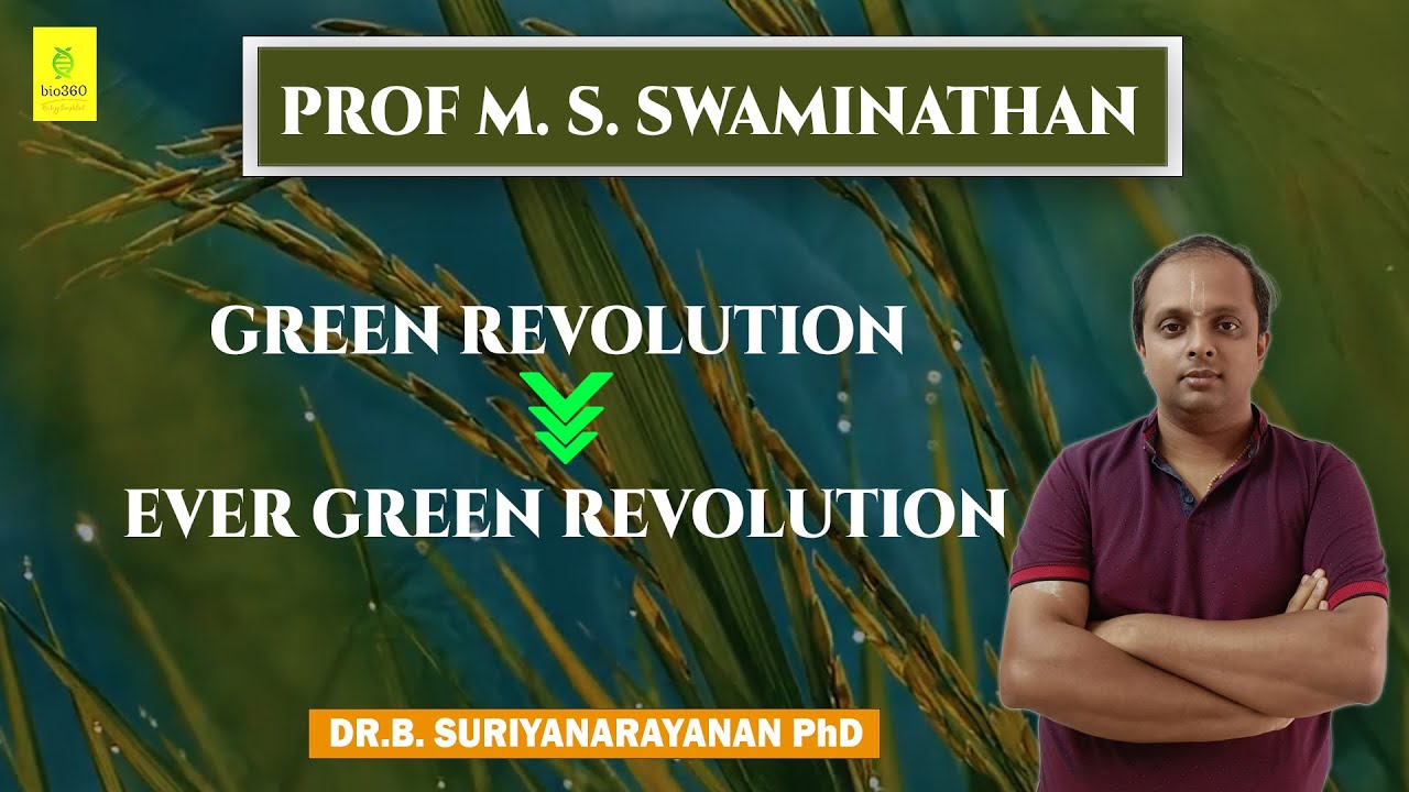 The contribution of Prof M.S. Swaminathan in " Green Revolution" - YouTube