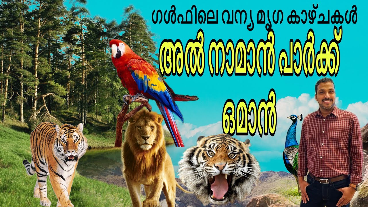 ഒമാനിലെ zoo അൽ നാമാൻ പാർക്ക് oman al naman park zoo & best turist place ...