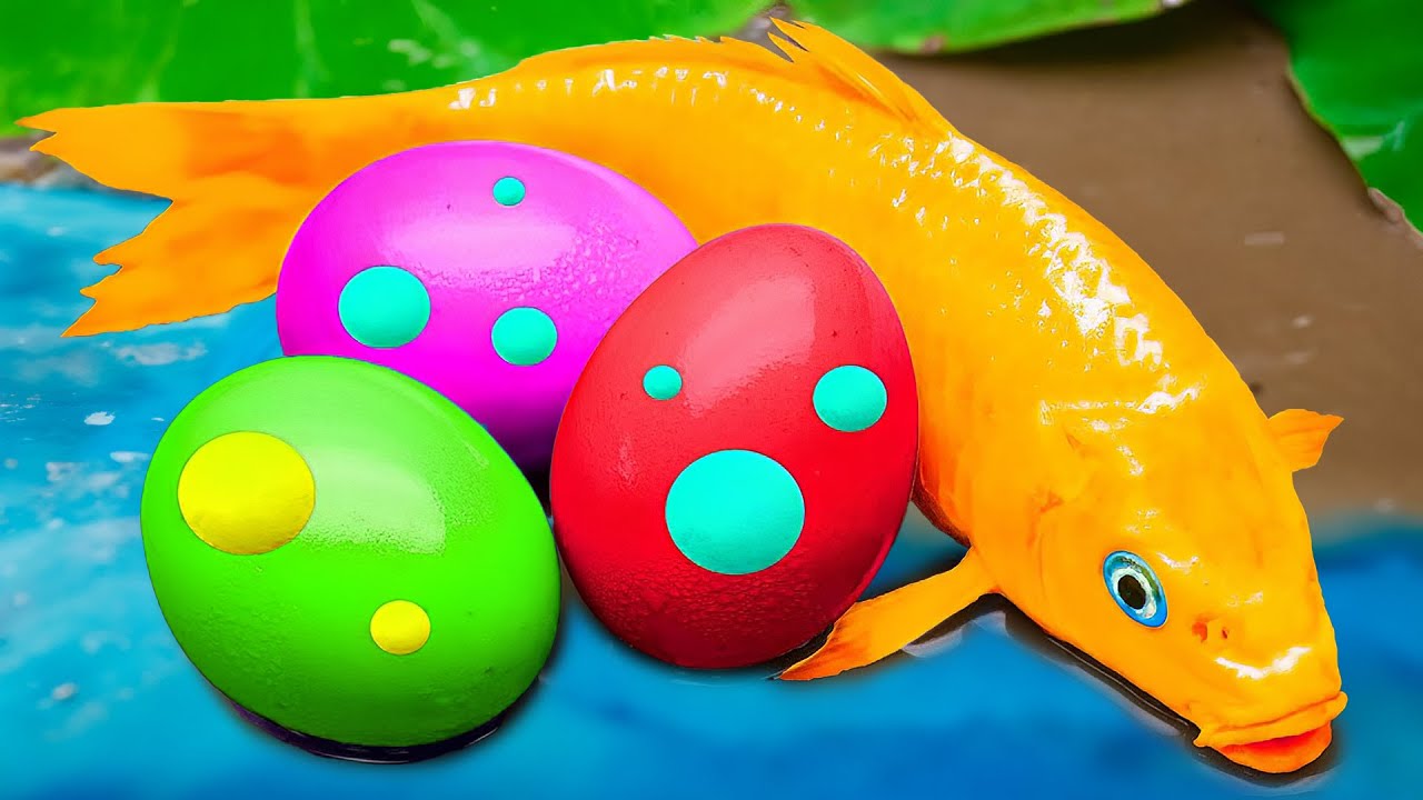 (New) Top Video Amazing Funny Video | Koi Fish Hunting Pink Catfish ...