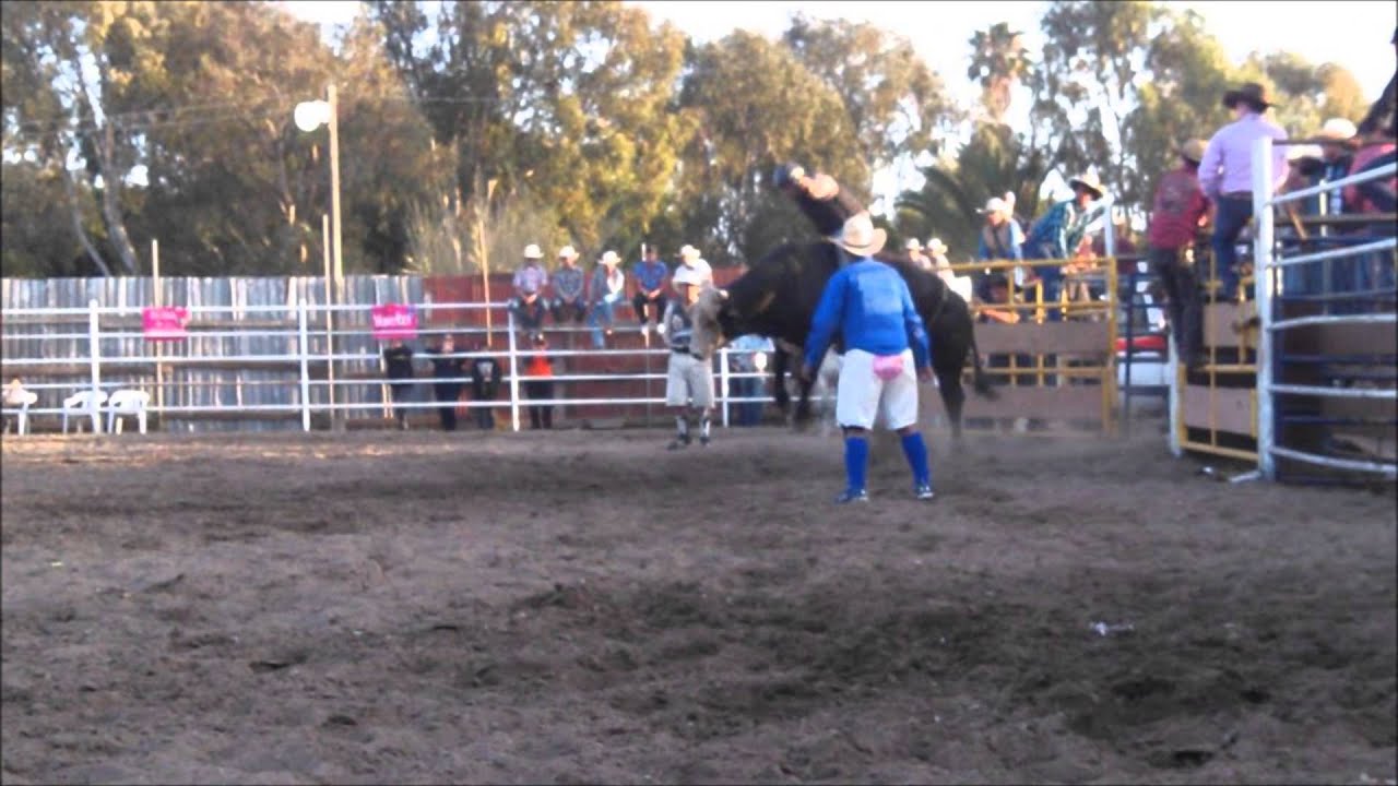 PALENQUE Y RODEO ROSARITO - YouTube