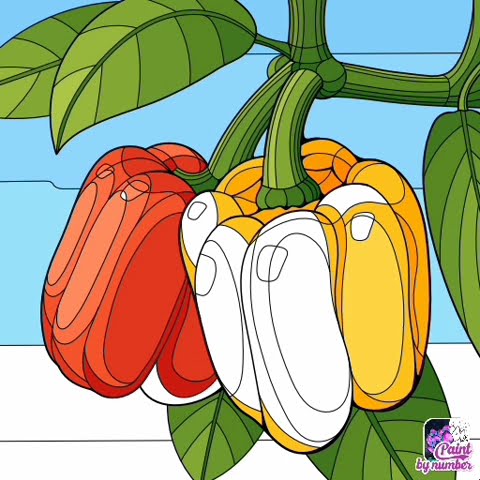 Capsicum coloring🫑🫑#capsicum #colouring - YouTube