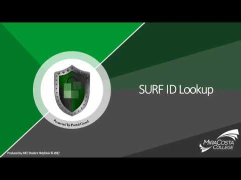 SURF ID Lookup