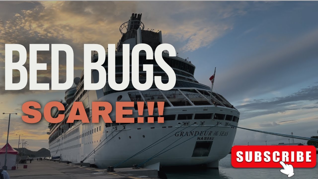 This Happened On Royal Caribbean Cruise| Bed Bugs Scare 😱😬😳|Watch For ...