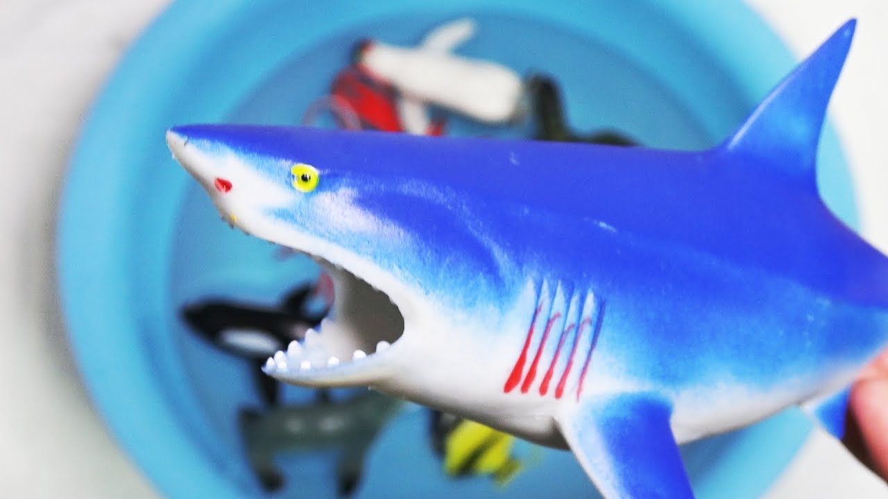 장난감으로 배우는 잼나는 키즈영어/Learn sea animals name with toys for kids/toyya ...