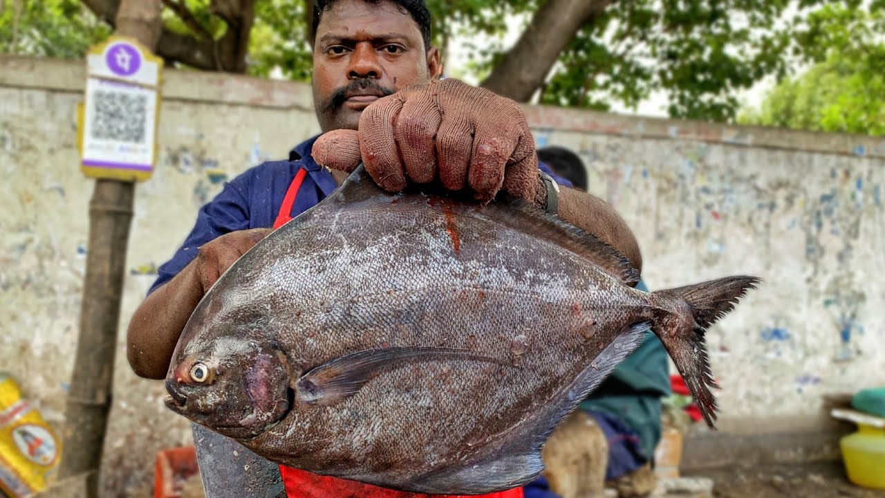 KASIMEDU 🔥 SPEED SELVAM | BIG POMFRET VAVAL FISH CUTTING VIDEO | 4K ...
