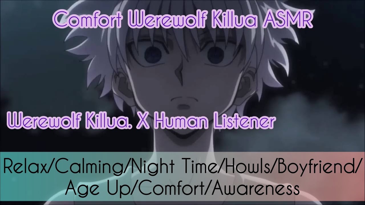 Comforting WereWolf Killua ASMR (Werewolf Killua x Human Listener ...