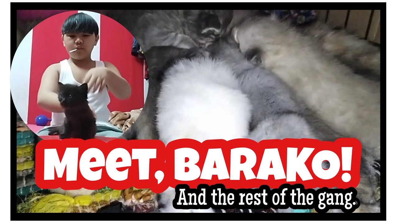 ONE OF MY FAVORITE PET; BARAKO! | ChlydeEboy's Vlogs - YouTube