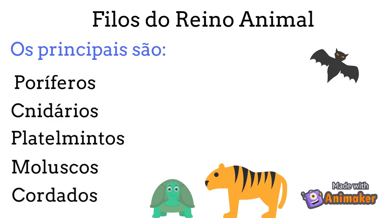 REINO ANIMAL || PRINCIPAIS CARACTERÍSTICAS E FILOS. - YouTube