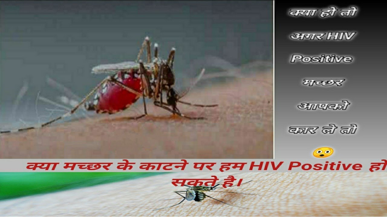 क्या मच्छर के काटने पर हम हो सकते है HIV Positive 😯#Short_Video - YouTube