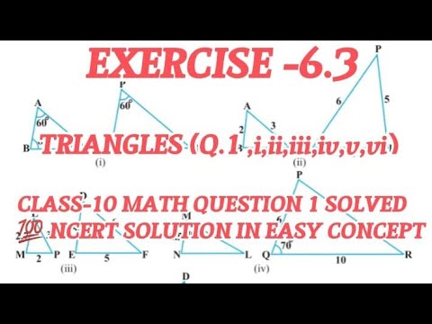 class -10 math ex -6.3 q1 (i,ii,iii,iv,v,vi) || triangles class-10 ...