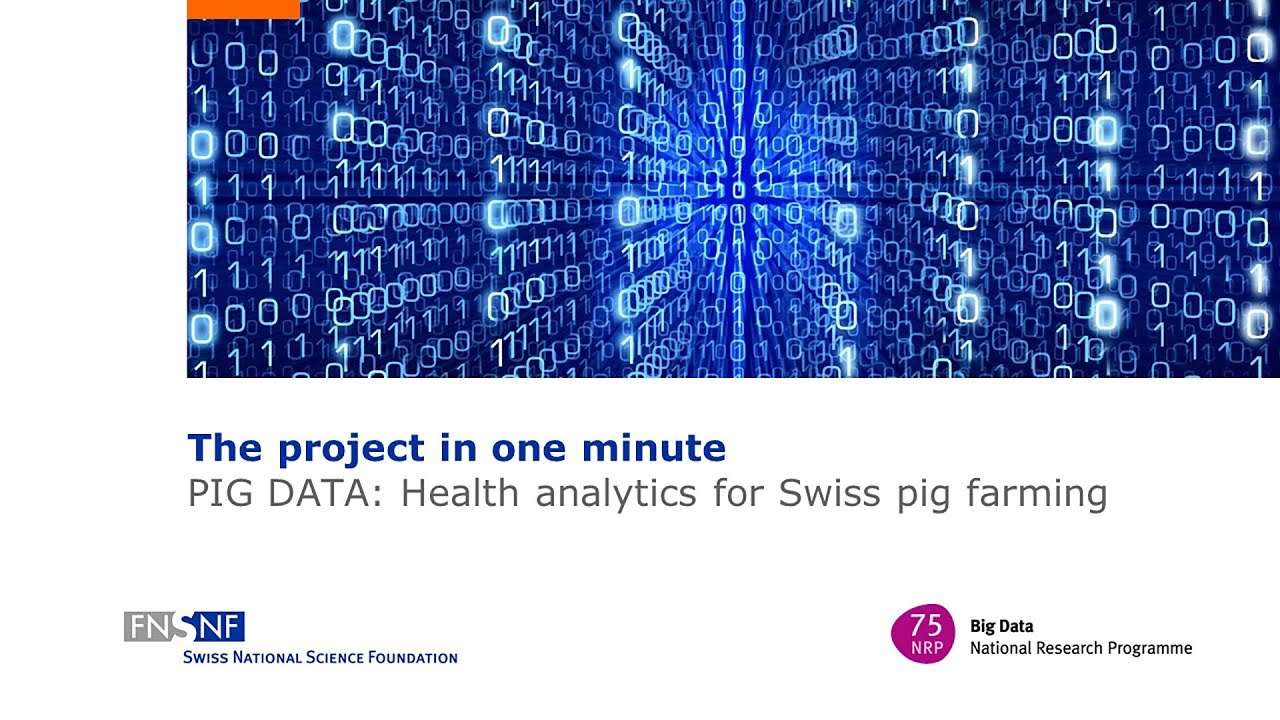 PIG DATA: Health analytics for Swiss pig farming - YouTube