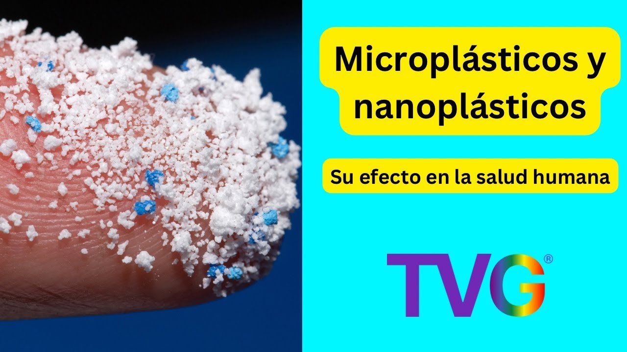 Los microplásticos y nanoplásticos y su efecto en la salud humana - YouTube