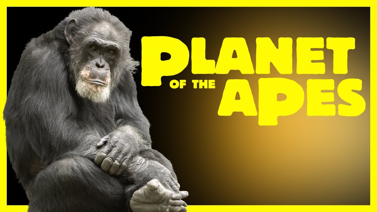 Journey of CAESAR in the PLANET of the APES Modern TRILOGY - YouTube