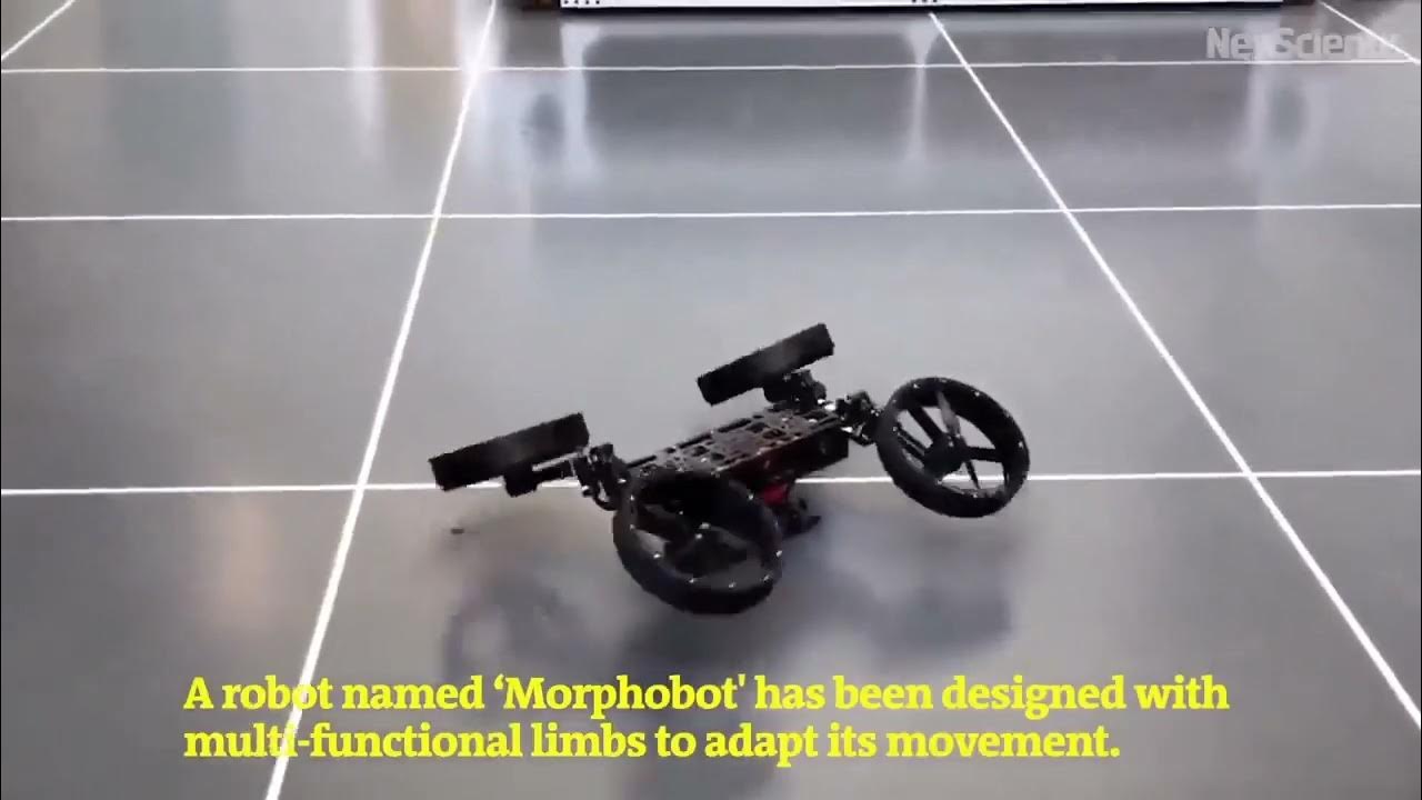 This robot can roll, crawl, jump, walk, and fly?! M4 ROBOT - YouTube
