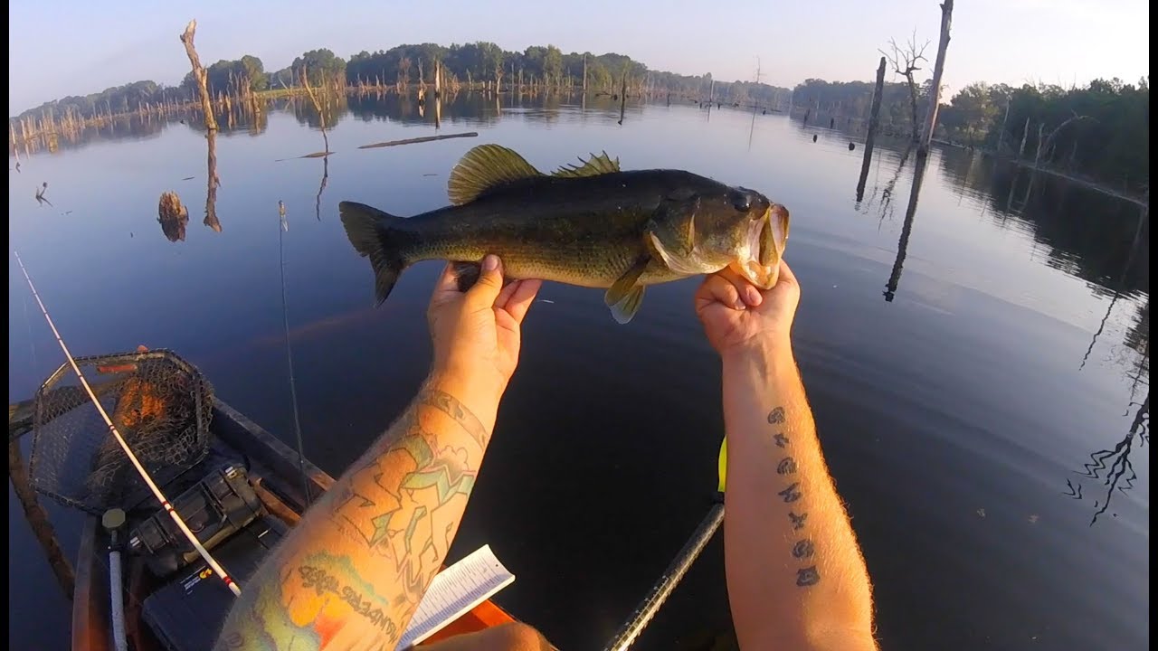 Fishing a Flooded Forest for BIG BASS - YouTube