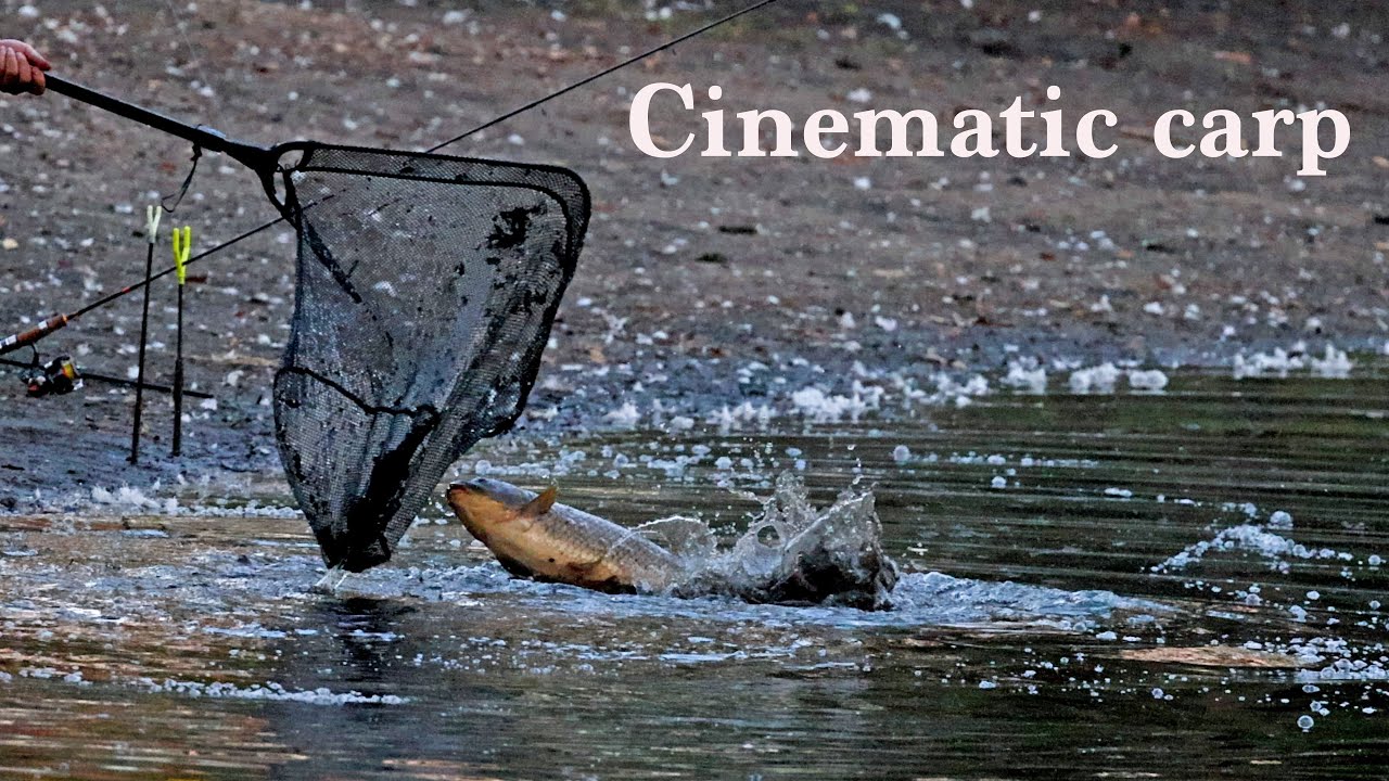 Dramatic fishing in slow motion - YouTube