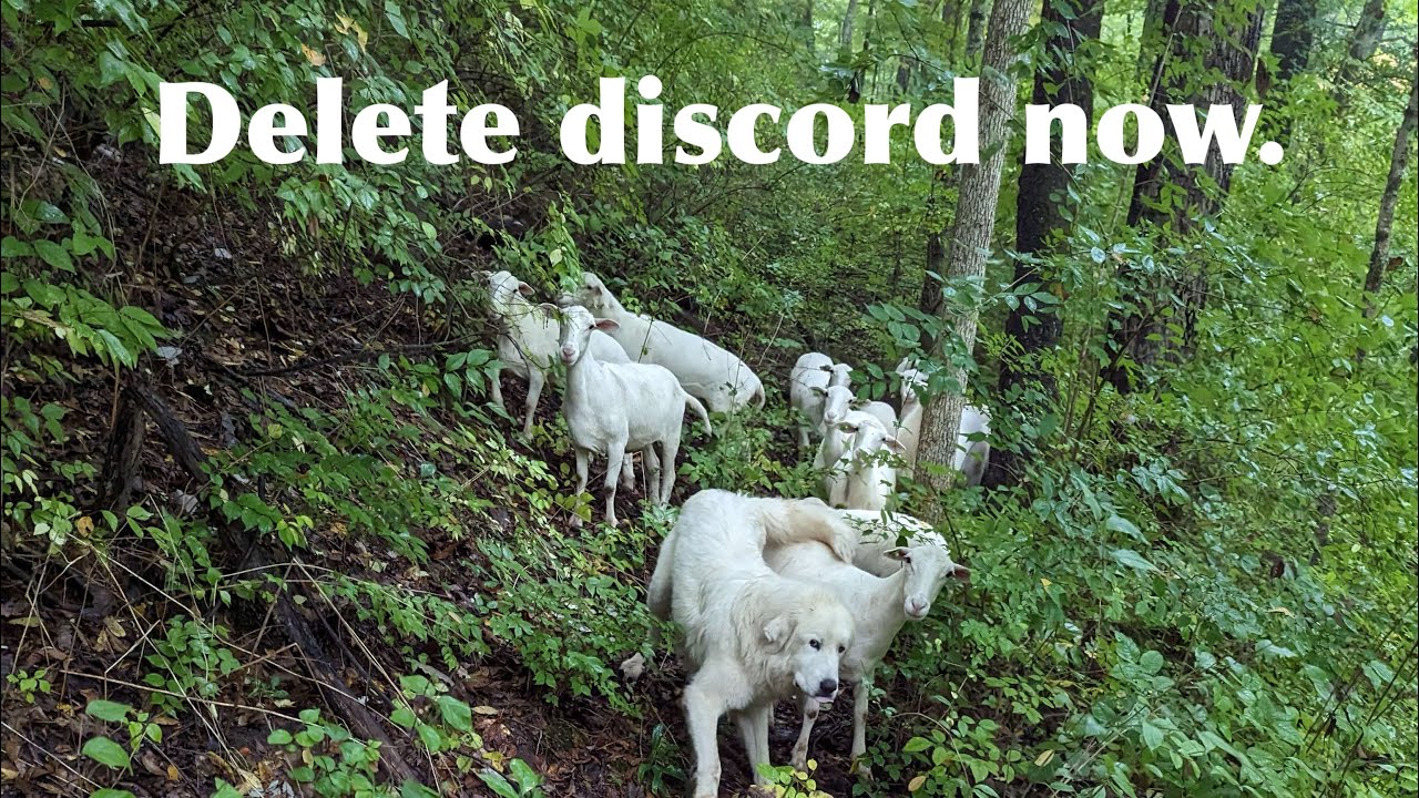 *OUTDATED* IF YOU USE DISCORD, YOUR IDENTITY IS AT RISK! New ToS Update ...