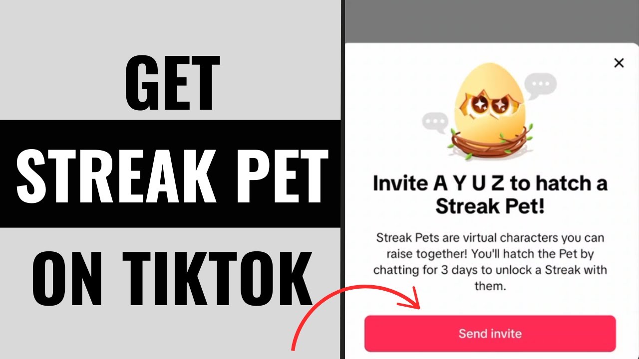 How to Get Streak Pet on TikTok - YouTube