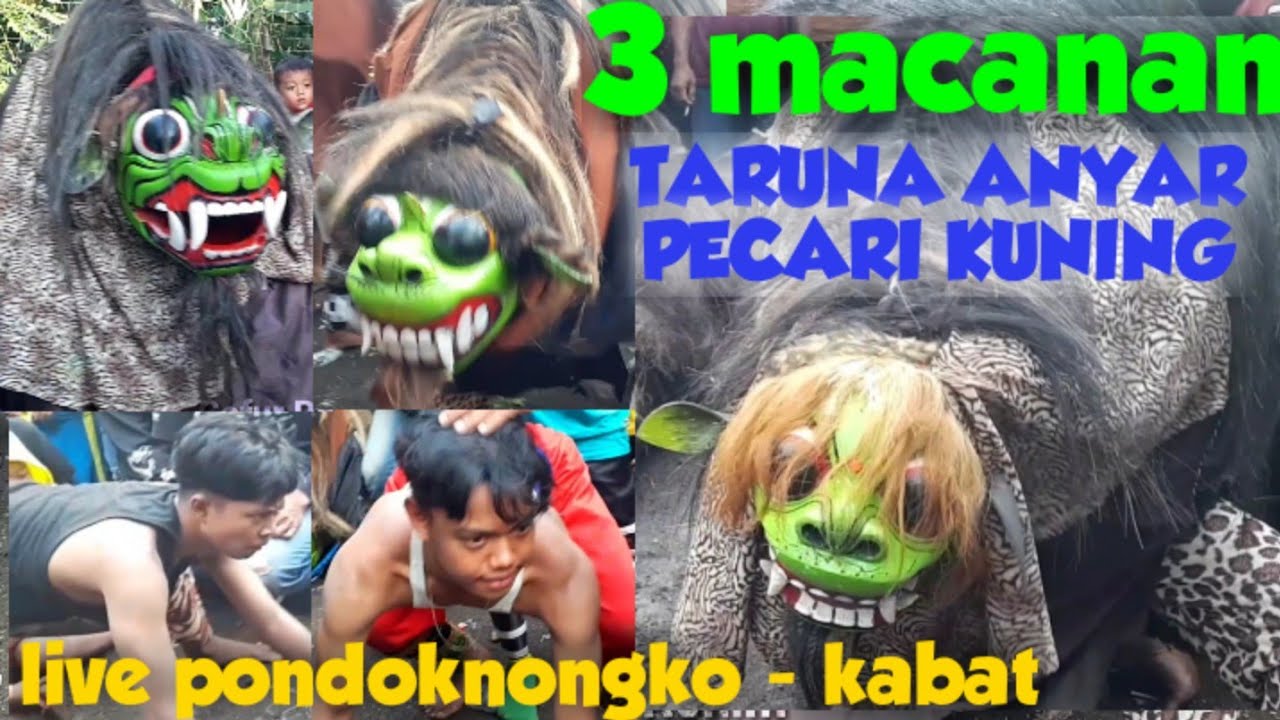 MACANAN || JARANAN TARUNA ANYAR PECARI KUNING LIVE DESA PONDOKNONGKO ...