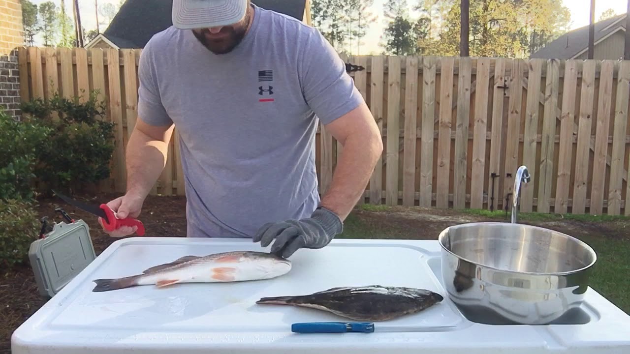 How to fillet a redfish - YouTube