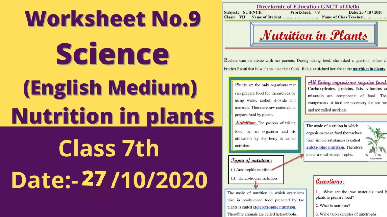 Worksheet 9 Science class 7(27/10/2020)English Medium/worksheet 9 ...
