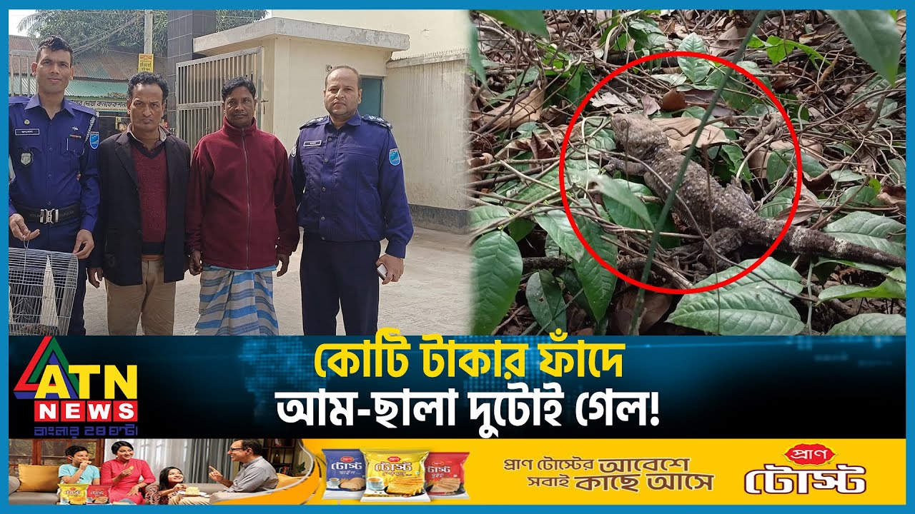 দিনে কোটিপতি, রাতে হাজতবাসী | Savar | Ashulia | Tokkhok | Forest ...