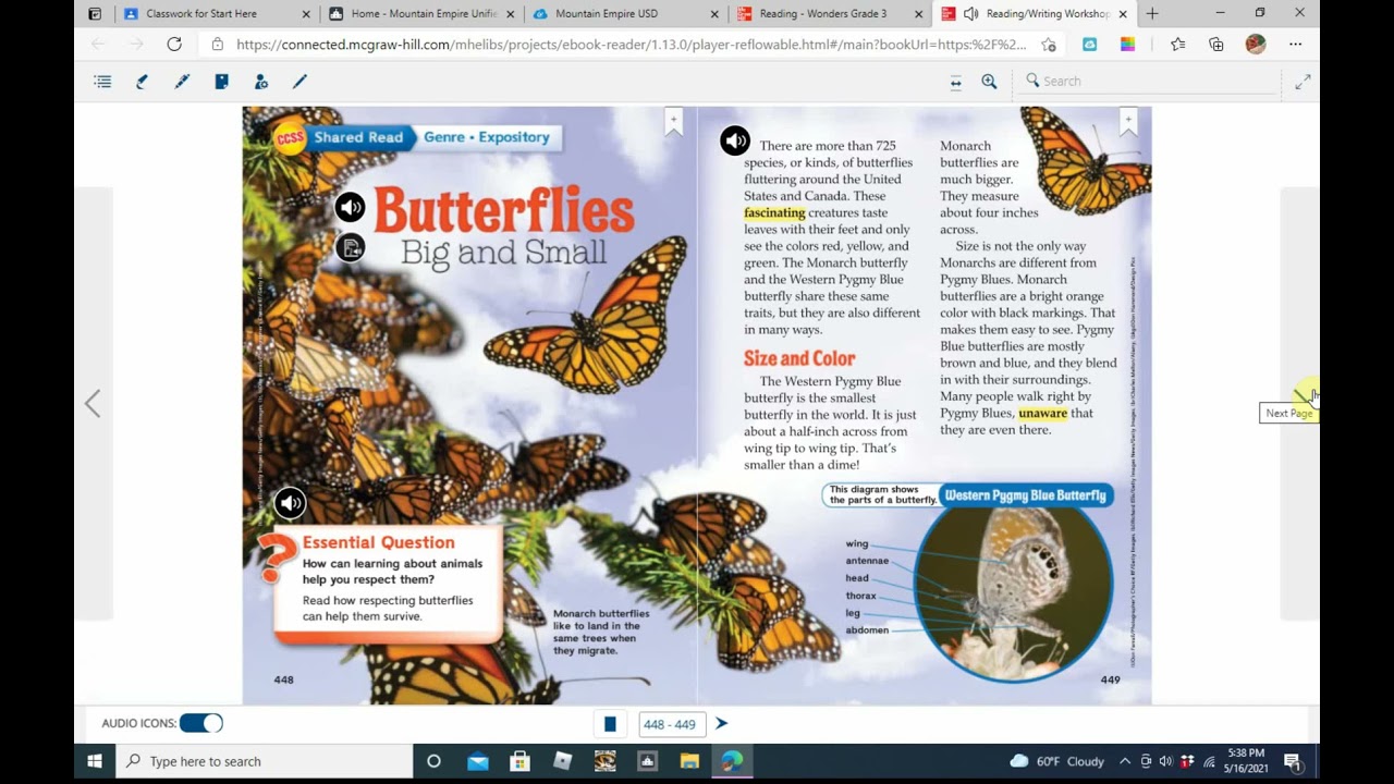 Butterflies Big and Small - YouTube