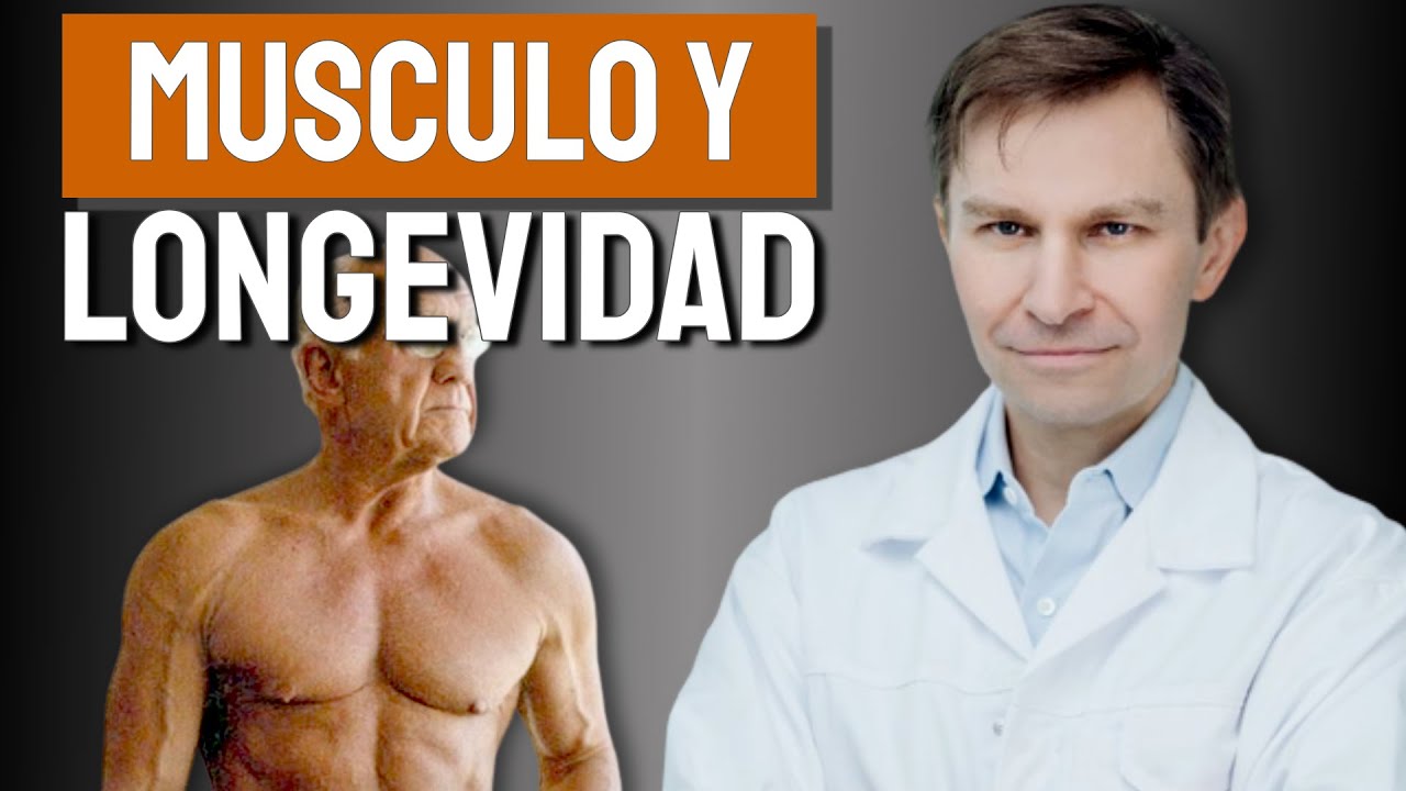 DAVID SINCLAIR / Mantén tu músculo y obtén LONGEVIDAD - YouTube
