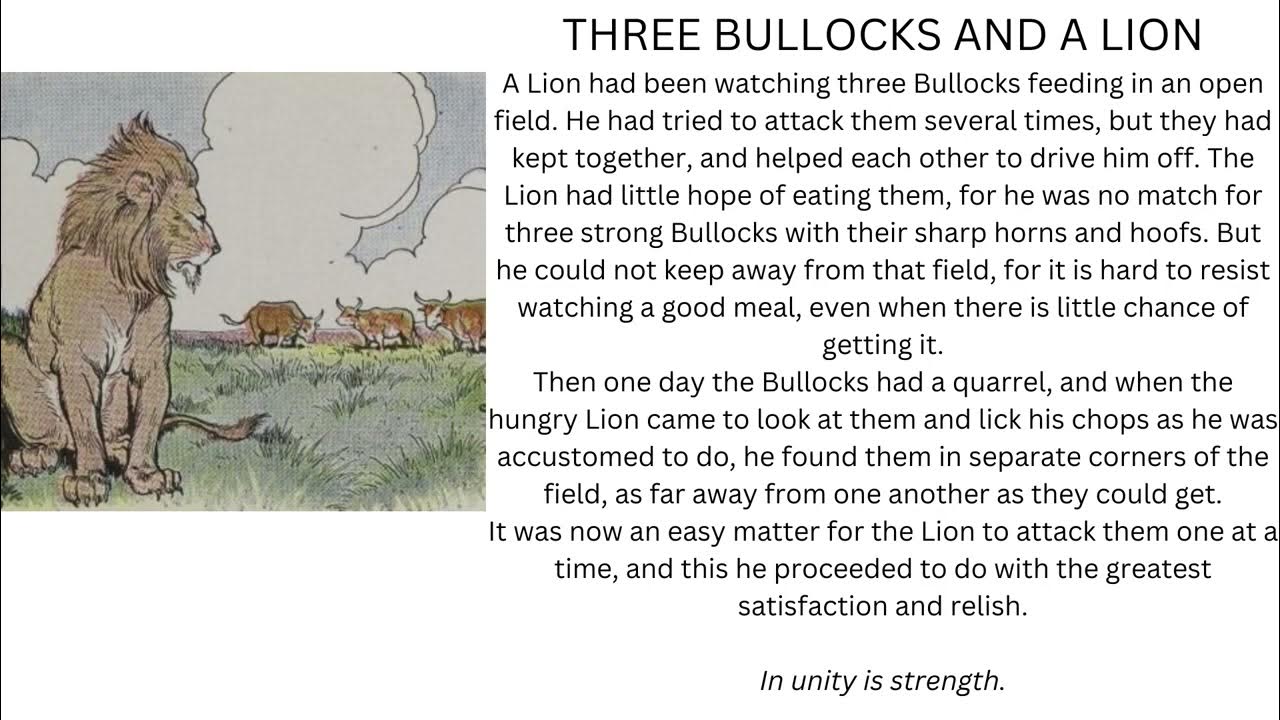 Three Bullocks and A Lion - Aesop's Fable - YouTube