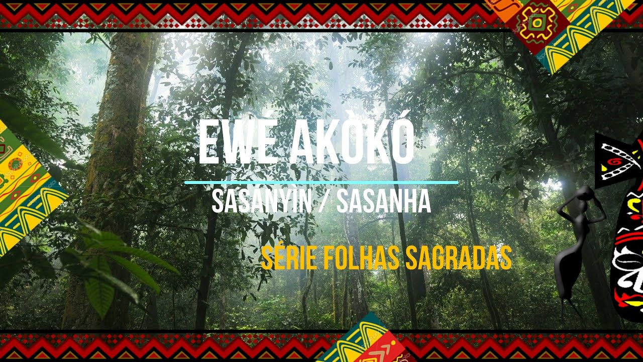 Ewe Akoko - Folha do Reconhecimento - Sasányìn / Sasanha - Série Folhas ...