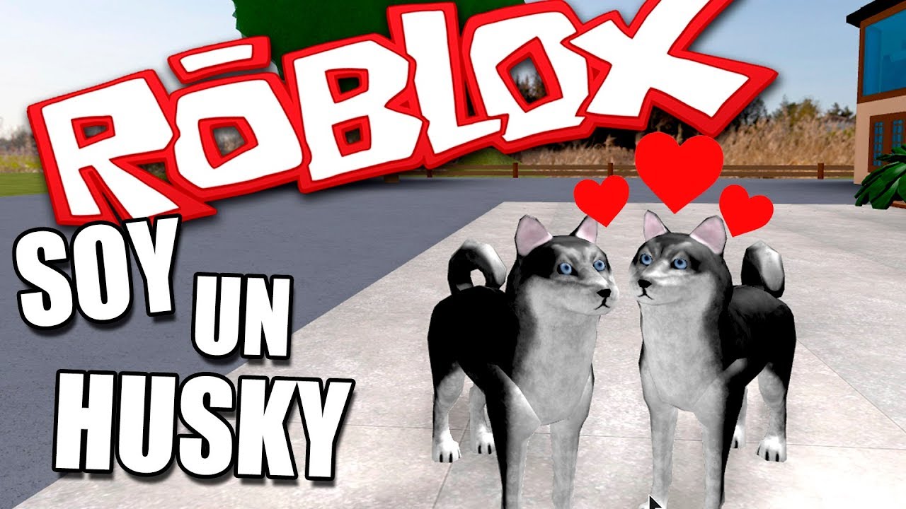 Y SI... FUERA UN HUSKY?? 🐺 SOY UN PERRITO!! | ROBLOX en español - YouTube