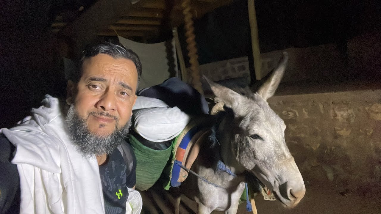 Abou hamza is live الليل والحمار وصوت النهر - YouTube