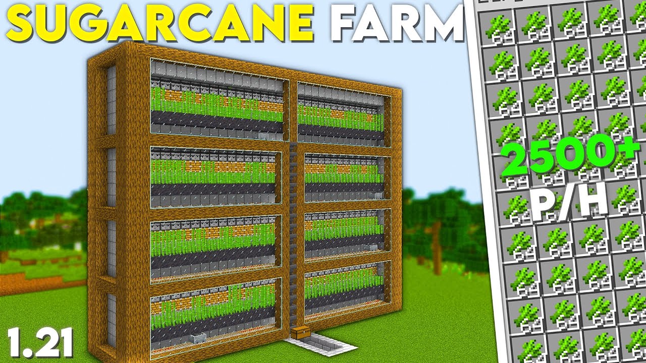 Automatic SUGARCANE Farm in Minecraft 1.21 Java & Bedrock | BEST ...
