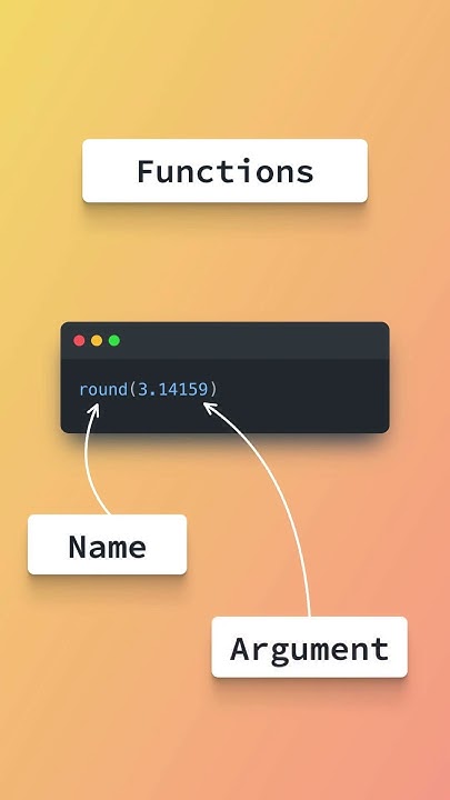 Functions In Python And R Pythonprogramming Rprogrammingforbeginners