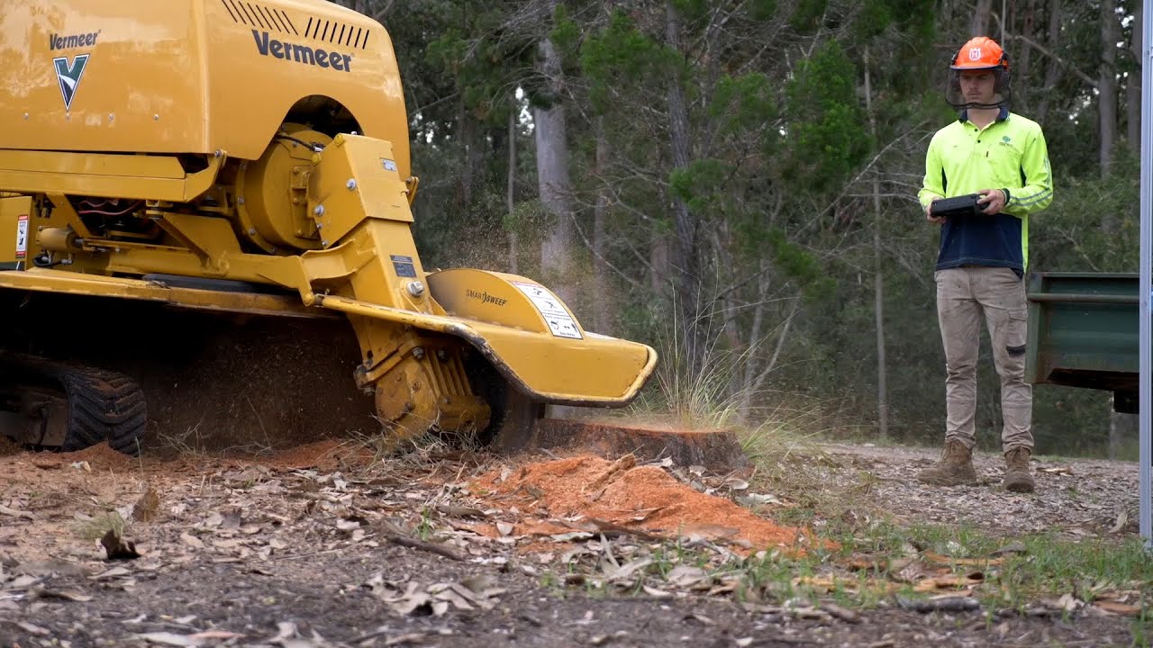Stump Grinding Logan Brisbane - Eden Trees - YouTube