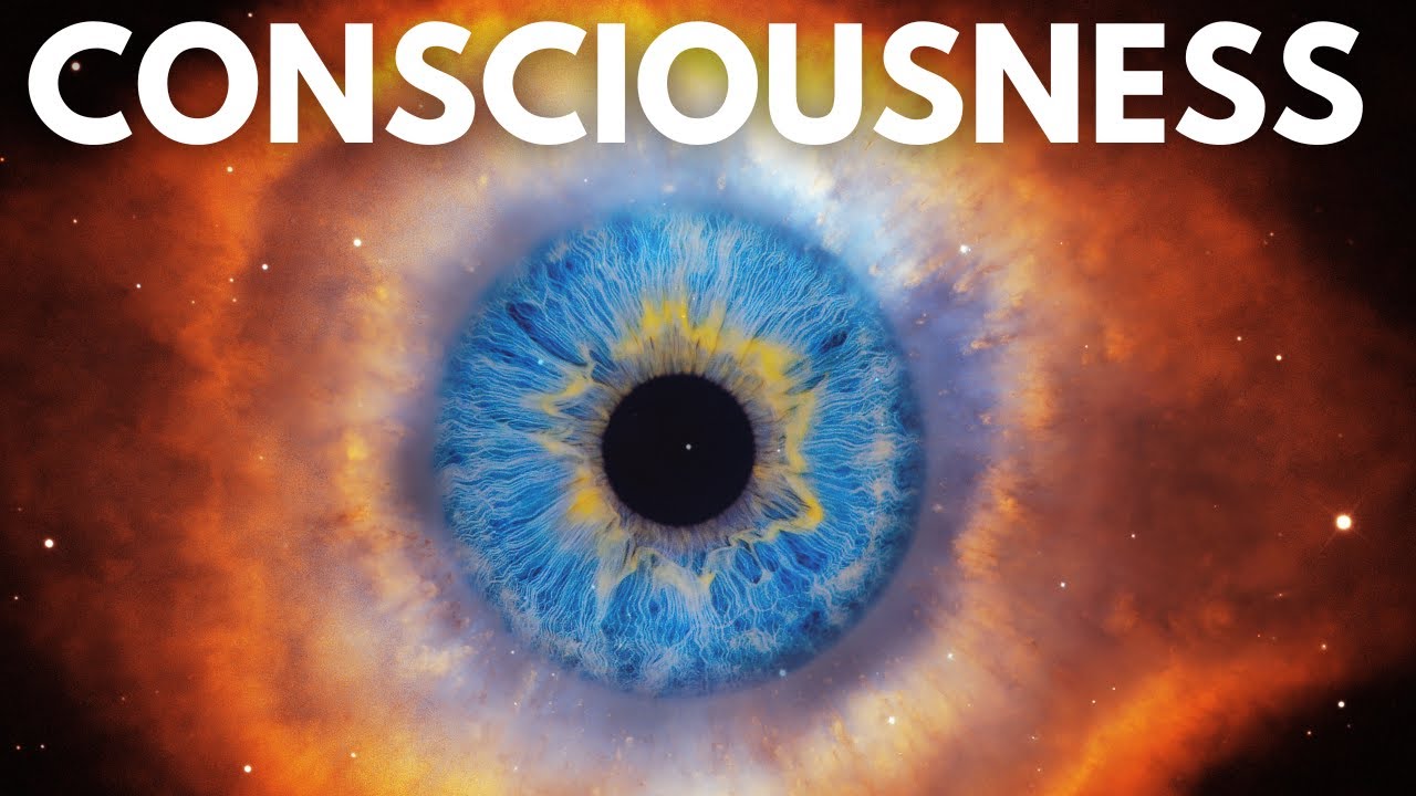 The Greatest Scientific Theories On Consciousness You Need to Know ...