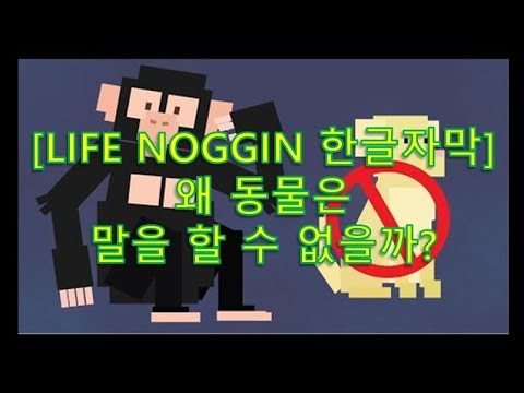 [한글자막] 왜 동물은 말을 할 수가 없을까? - Life Noggin 업로드 ) - YouTube