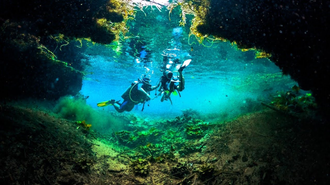 Cave diving under sabino trees sanctuary - Mammooth lake, Media luna ...
