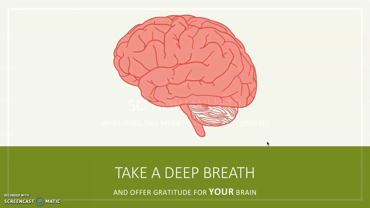 Movement & the Brain - YouTube