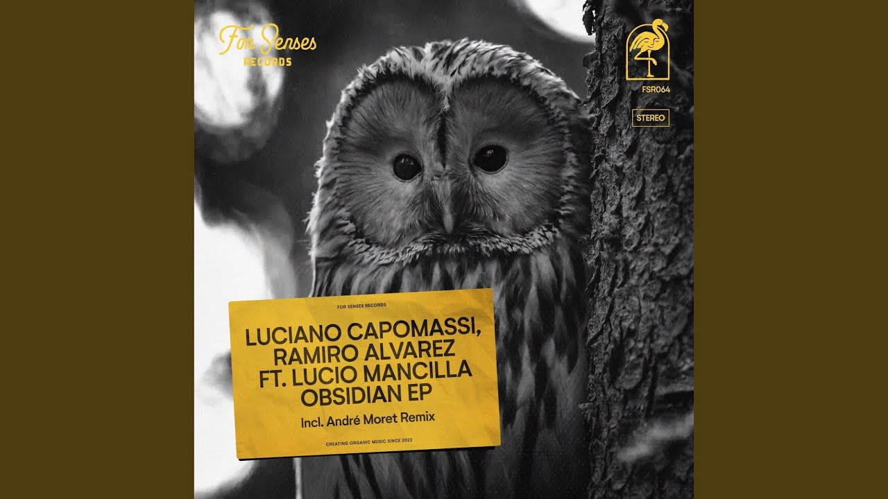 Obsidian feat. Lucio Mancilla (Andre Moret Remix) - YouTube