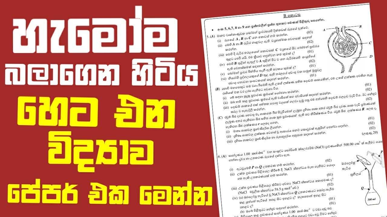 අයින් කරන්න කලින් විද්‍යාව පේපර් එක බලන්න | 2025 Ol Science Anumana ...
