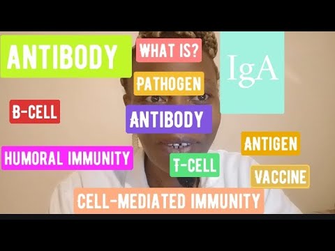 INTRODUCTION TO IMMUNOLOGY,BASIC TERMS DEFINITION. - YouTube