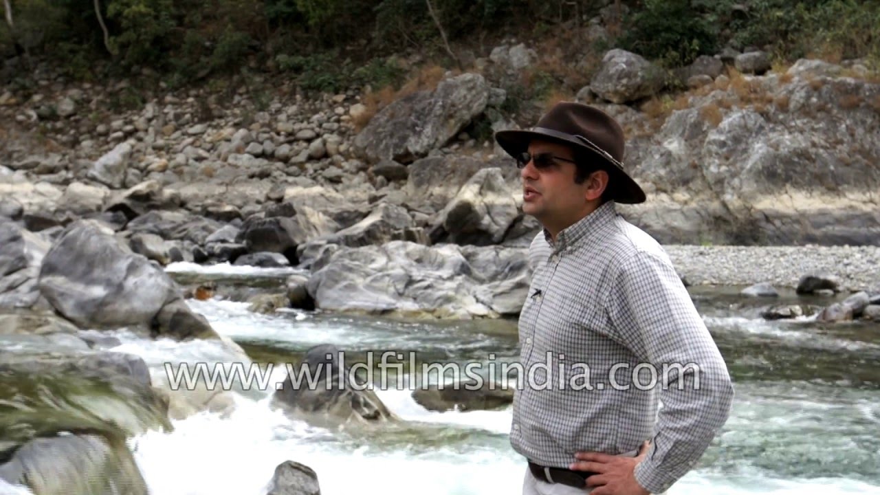 Rupin Dang speaks about mahseer fishing in the Ramganga - YouTube