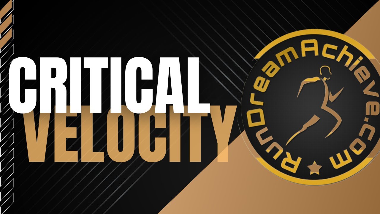 Velocity Hosting Logo