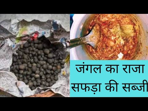 Safda Ki Sabji Recipe 😋 जंगल का राजा सफड़ा की सब्जी By Neelam Chaudhary ...