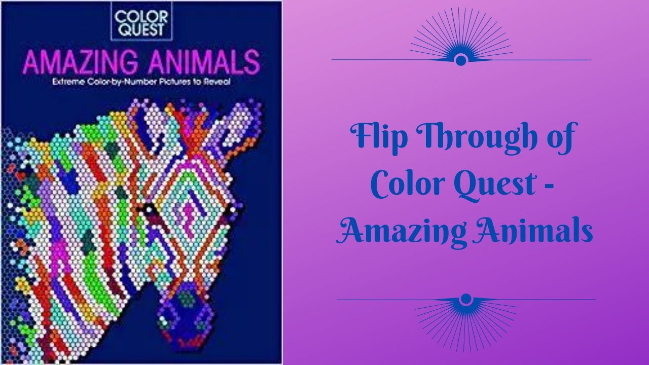 Flip Through of Color Quest - Amazing Animals - YouTube