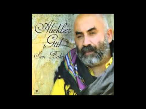 ALİEKBER GÜL - HALAY