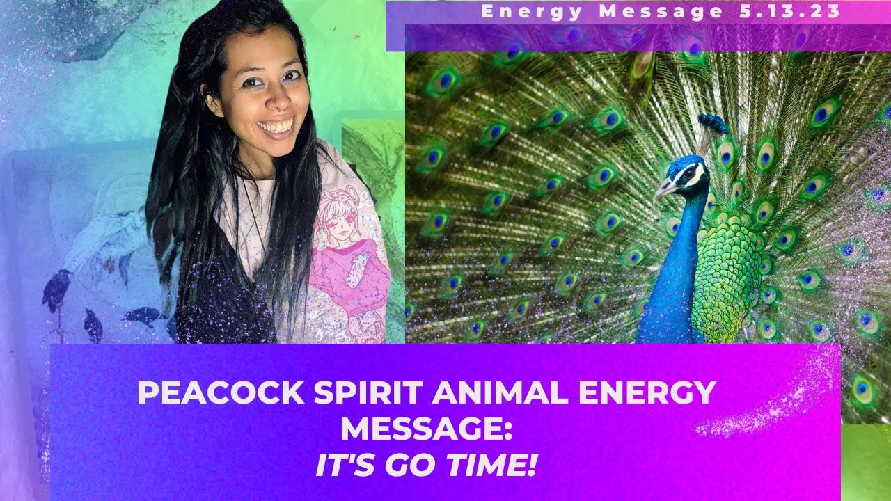 Peacock Spirit Animal Energy Message| Your Time to Shine - YouTube