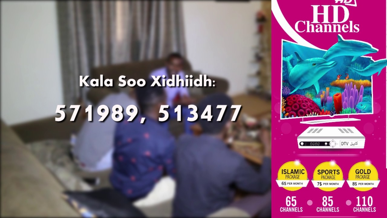 True Cable Tv (Advertisement) - YouTube