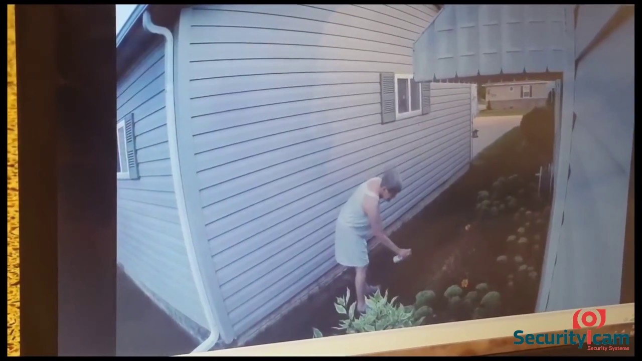 Caught on Security Camera Crazy Neighbors (Part 1) - YouTube